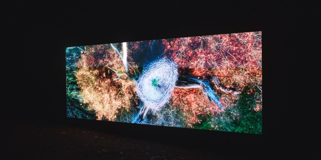 Tisíce lidí obdivovaly interaktivní instalaci k CHKO Soutok na Signal ...